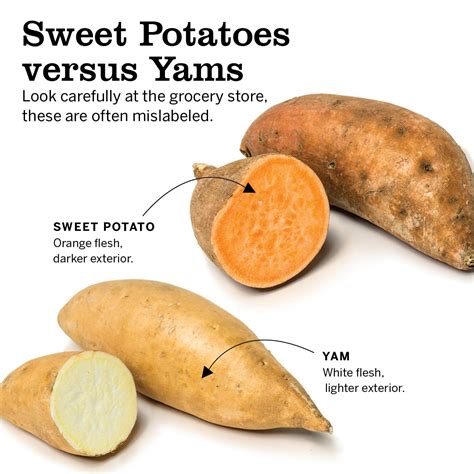 Difference Between Yams And Sweet Potatoes What Is The Difference
