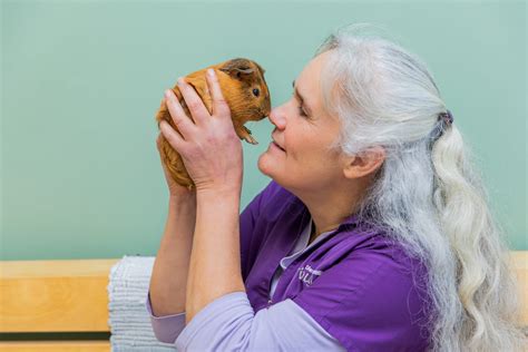 Carolien Ritsema Van Eck Uw Dierenarts Bij Dierenartsenpraktijk Tilburg 1
