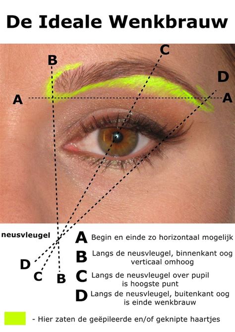 Permanente Wenkbrauwen Volle Natuurlijke Brows Wenkbrauwen Perfecte Wenkbrauwen