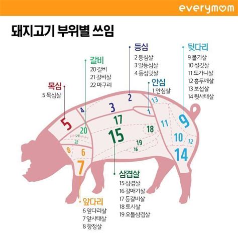 돼지고기의 모든 것 인스티즈instiz 이슈 카테고리
