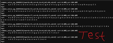 自己训练的模型inference结果为空 Issue modelscope FunASR GitHub