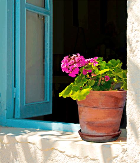 Bedroom Window