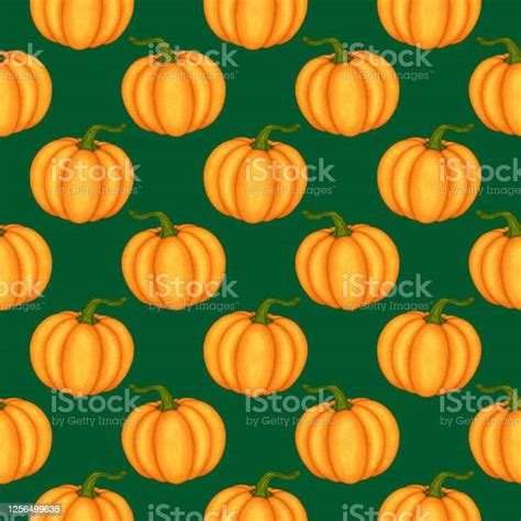 만화 수채화 오렌지 호박 원활한 패턴 가을 계절의 상징 수확 녹색 배경에 손으로 그린 요소 10월에 대한 스톡 벡터 아트 및