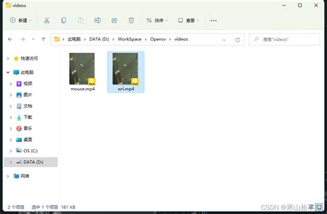 C Opencv视频处理与保存copencv保存读取到的视频 Csdn博客