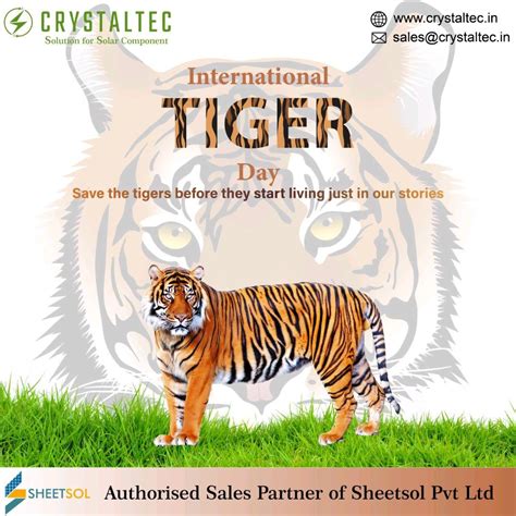 Mohammad Imran On Linkedin Tigers International Tiger Day Savetiger Savenation Tigers