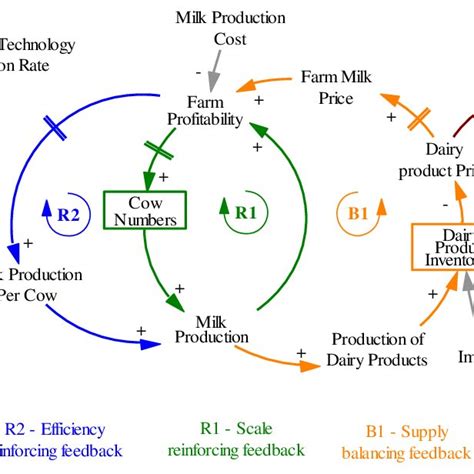 Causal Loop Diagram Representing The Conceptual Model And The Main Download Scientific Diagram