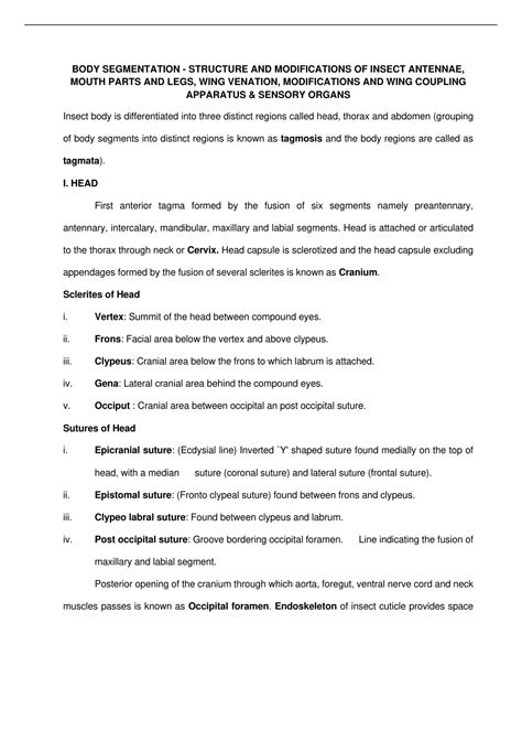 Body Segmentation Structure And Modifications Of Insect Antennae