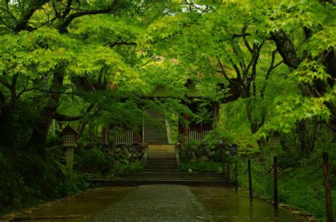常寂 GANREF