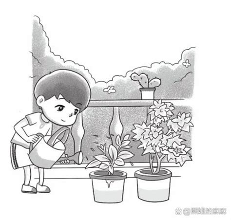 小花浇水简笔画幼儿园简单又好看（热门15张） 简笔画图片大全