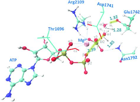 Snapshot Of The Optimized Transition State Structure Tsc1 For Model C