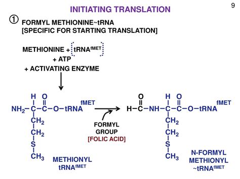 1 Translation Ppt Download