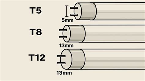 T5 Vs T8 Vs T12 How To Choose The Best Choice