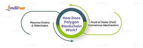 Polygon BlockChain Working Use Cases And Advantages