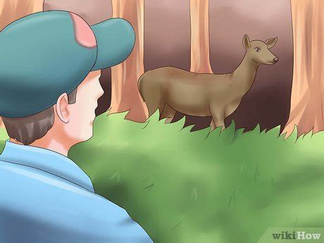 3 Ways To Catch A Deer WikiHow