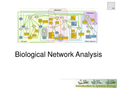 ppt biological network analysis powerpoint presentation free