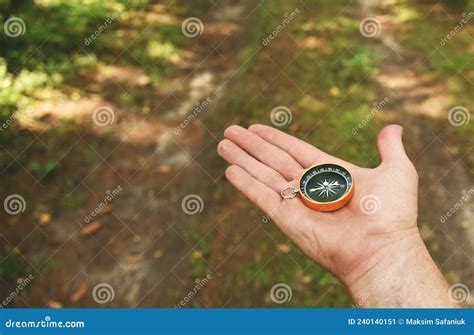 Compass In Hand At Forest Tourist Compass For Orientation On The Terrain Magnetic Declination