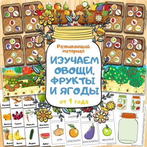 Изучаем овощи, фрукты и ягоды. Развивающий сборник. - Мой знайка