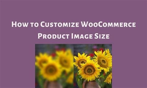 How To Customize WooCommerce Product Image Size Fix Blurry Images StarcatWP