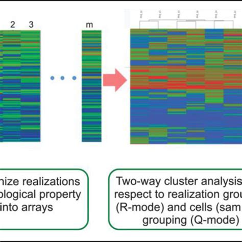 cluster analysis workflow download scientific diagram