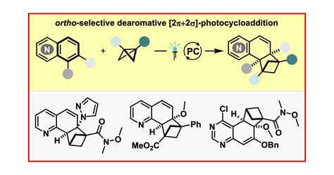 Ortho Selective Dearomative [2π 2σ] Photocycloadditions Of Bicyclic Aza Arenes Journal Of
