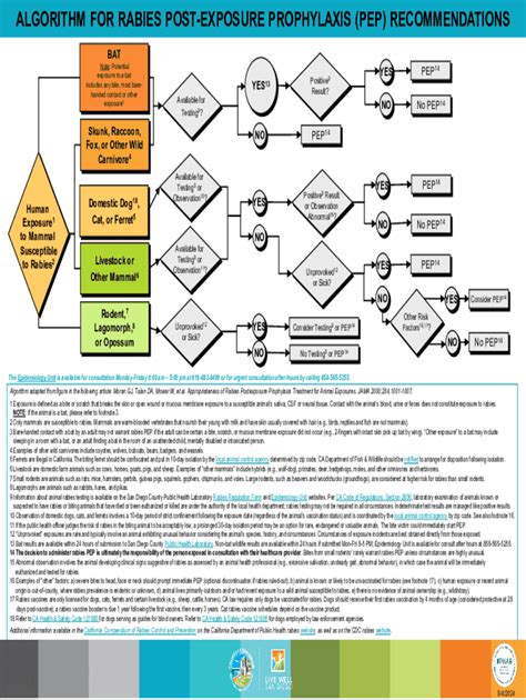 Fillable Online Algorithm For Rabies Post Exposure Prophylaxis