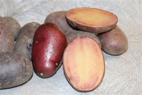 Купить клубни семенного картофеля в Краснодарском крае доставка почтой СДЭК