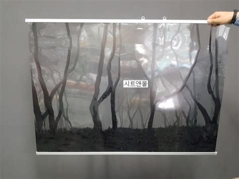 시트앤몰 투명필름야광출력축광스티커주문제작투명필름인쇄투명시트지인쇄ohp필름인쇄화이트인쇄 네이버 블로그