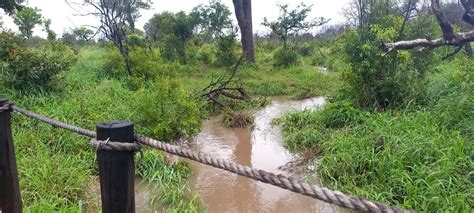 Pungwe Safari Camp Wet Wet Wet