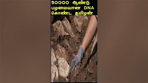 50000 ஆண்டு பழமையான Dna கொண்ட தமிழன் Tamilar History In Tamil Attirampakkam Archaeological