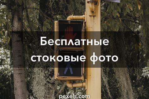 Лучшие фото по запросу «วอลล์เปเปอร์สดสำหรับแล็ปท็อป Andar ดาวน์โหลดฟรี · Скачивайте совершенно