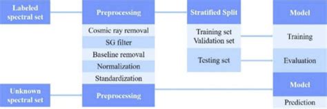 Flowchart Of Chemometric Classification Model Construction Download Scientific Diagram