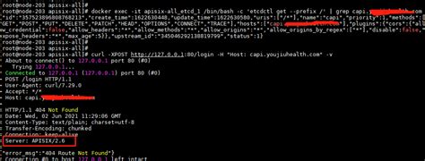 Request Help Apisix Cannot Use Cors Plug In After Upgrading From 20 To 25 And Partial Route