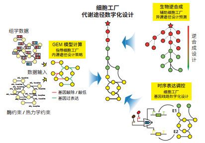 细胞工厂设计数字化赋能绿色生物制造