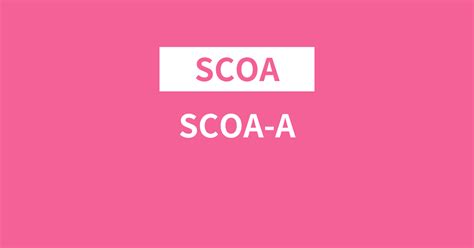 Scoa Aとは？対策方法・解き方と例題を科目別にすべて解説！