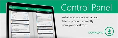 Using Telerik Control Panel As A Launch Pad