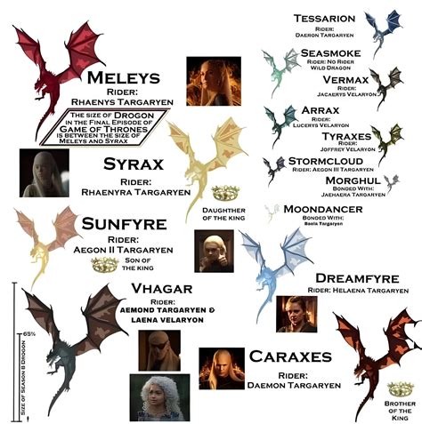 100 A Guide Of Some Important Dragons And Their Riders 🤗 Dragons And