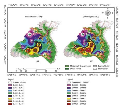 A Interpolation Diagrams A And B Showing Spatial Distribution Of
