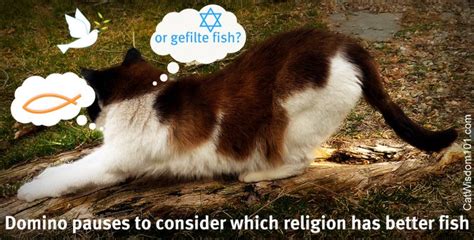 Feline Eggcellent Good Friday And Passover Cat Wisdom 101