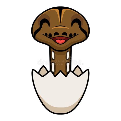 Python Reticulatus Stock Illustrations 379 Python Reticulatus Stock Illustrations Vectors