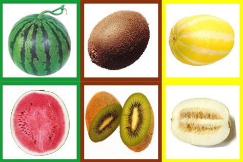 탐색 과일 겉과 속 카드 네이버 블로그