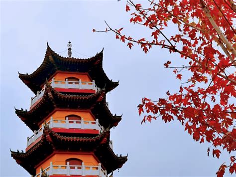 他来了他来了华容禹山泥鳅节又要来了 华容县政府网