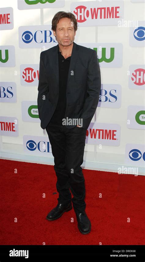 David Duchovny Cbs Showtimes Cw Summer 2012 Press Tour At The Beverly
