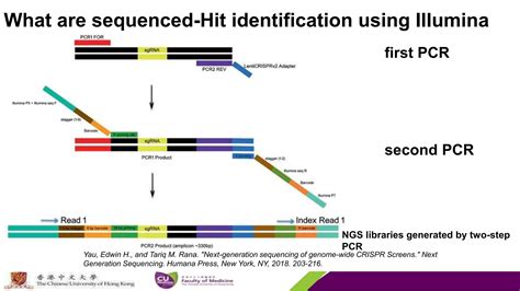 High Throughput Single Cell Crispr Cas9 Gene Editing Pptx