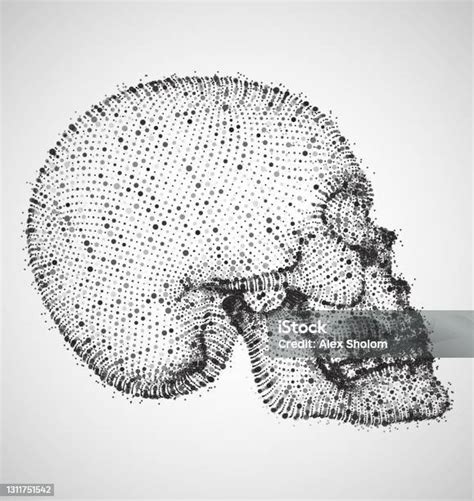 색상 배경에 인간의 두개골을 벡터 죽음의 상징 할로윈 죽은 해커 의 날 3차원 형태에 대한 스톡 벡터 아트 및 기타 이미지 3차원 형태 Brand Name Video