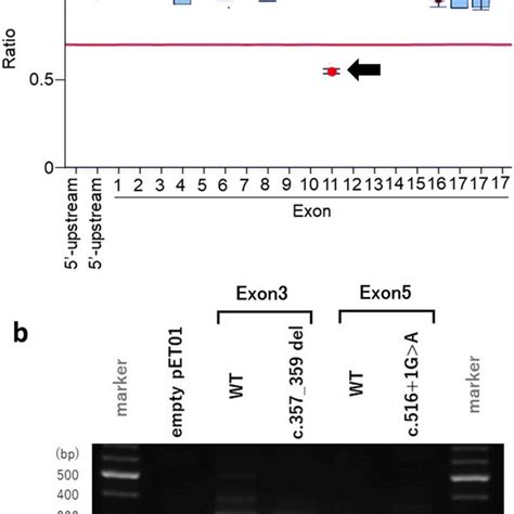 Genetic Analysis Of Variants In Addition To Sequencing A Detection Download Scientific