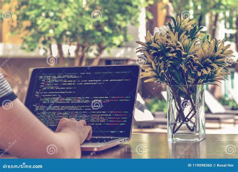 A Female Programmer Typing Source Codes In A Relaxing Working Environment Studying Working