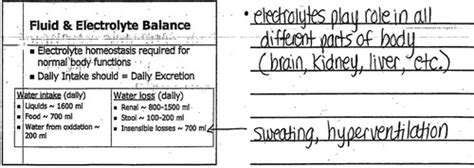 Fluid And Electrolytes Flashcards Quizlet