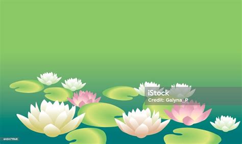 부드러운 초대장 인사말 포스터에 대 한 우아한 화이트 워터 꽃 벡터 일러스트 레이 션 수련 자연 속에서 연꽃 무늬 이미지 물에