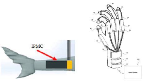 Some Examples Of Applications Using Ipmc Download Scientific Diagram