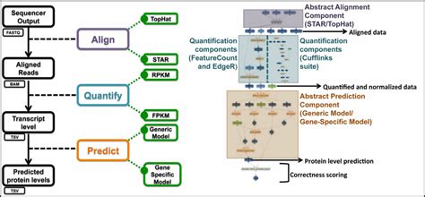 The Protein Prediction Workflow As Implemented In Wings The Black